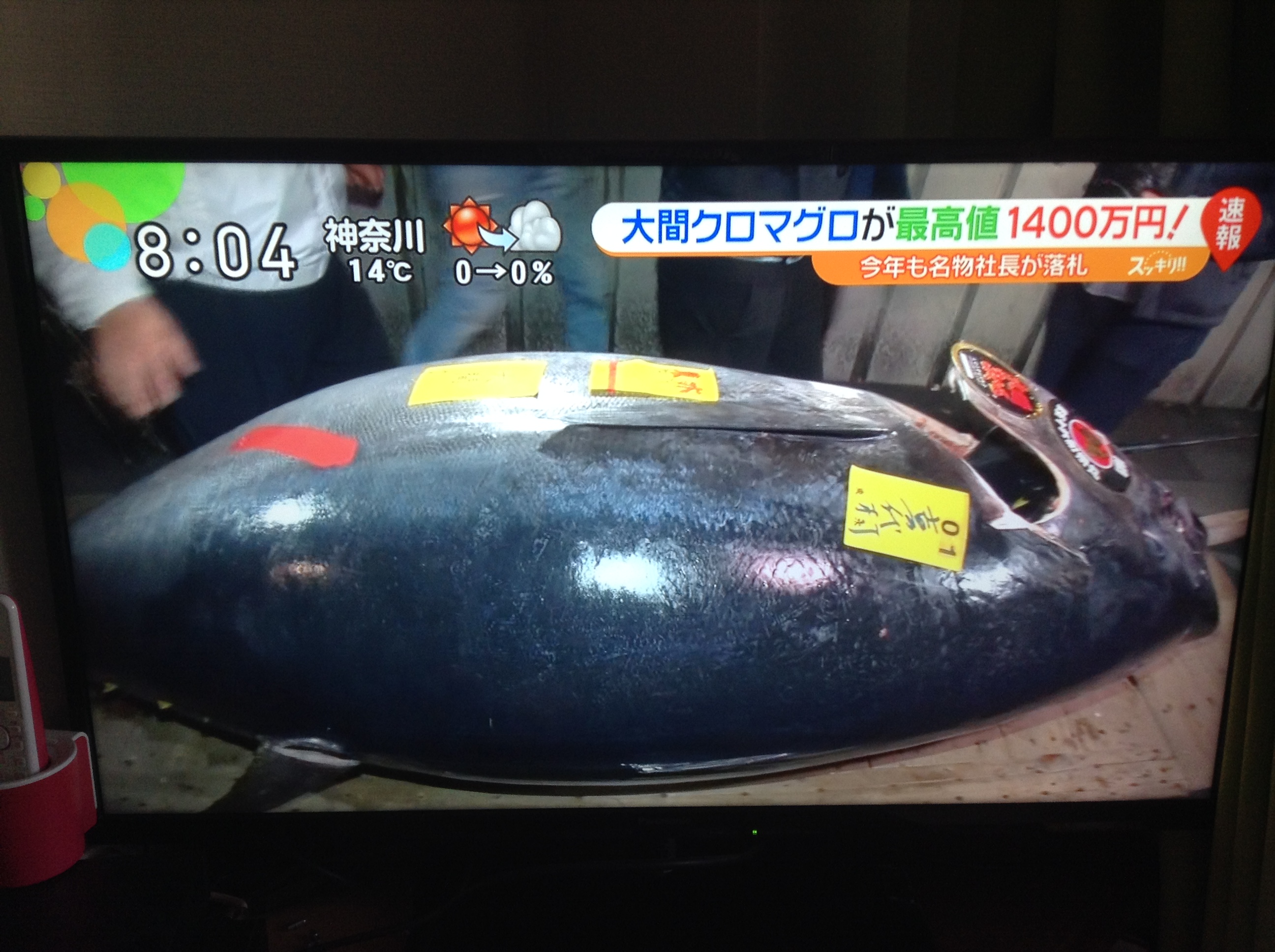 2016 Tsukiji Market Record Tuna by Numbers – Food Sake Tokyo